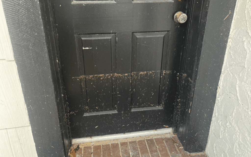 A Story of Recovery After Helene and Milton - SBP