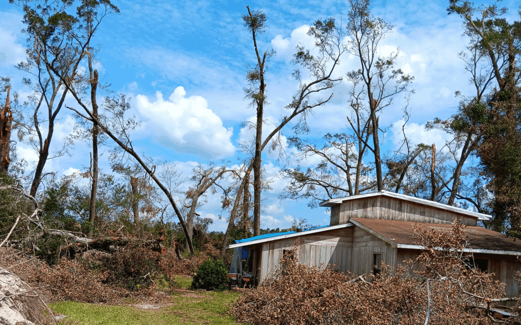 The House He Built: A Florida Homeowner Rebuilds After Hurricane Helene ...